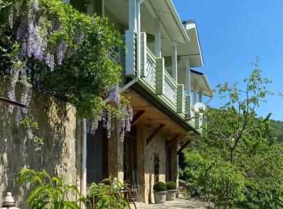 Где остановиться с детьми в Абрау-Дюрсо - цены 2024, отзывы, фото ...